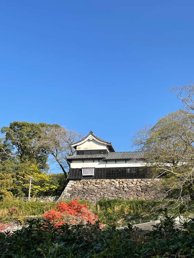 Fukuoka: Good Morning at Ohori Park and Fukuoka Castle Ruins - Practical Details and Value