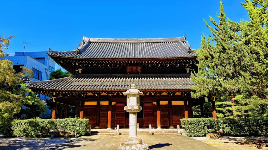 Fukuoka: Hakata Old Town Temples, Shrines and History Tour - Value and Practical Considerations