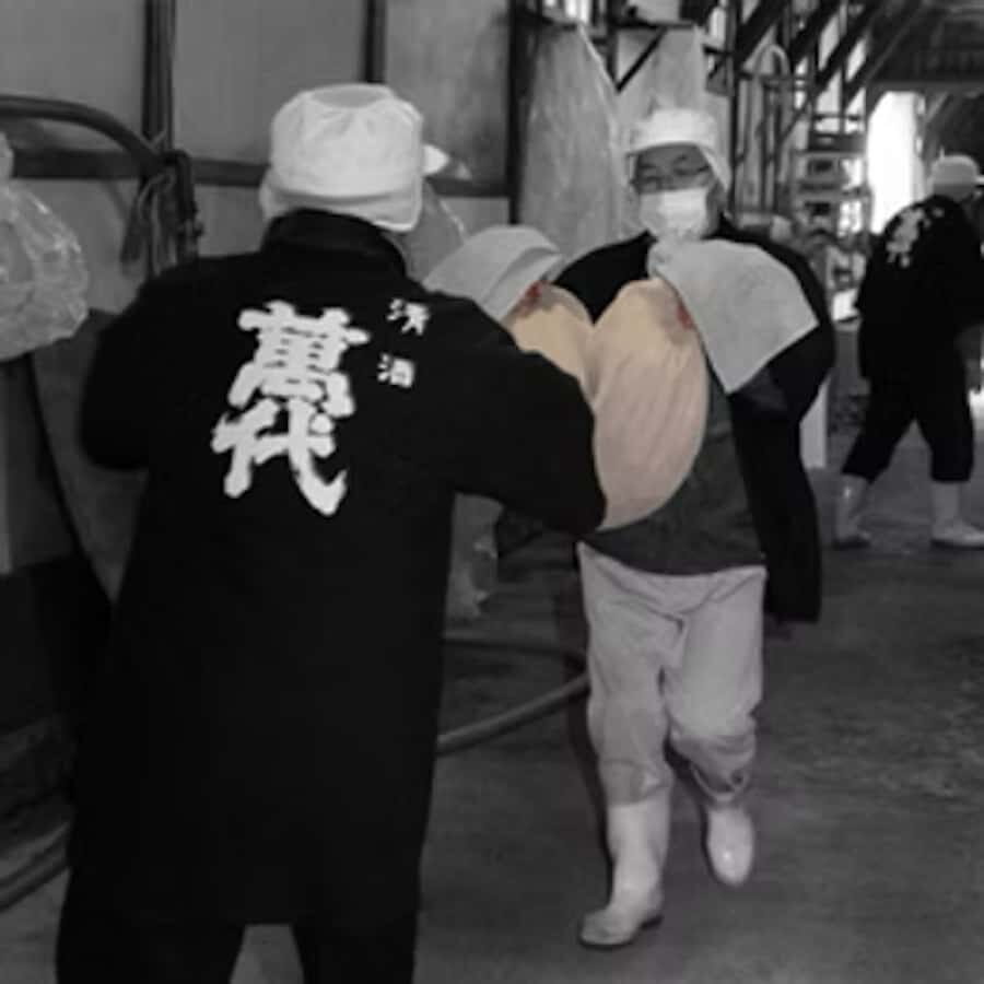 Fukuoka: Kobayashi Shuzo Honten Sake Brewery Tour - What Makes This Tour Stand Out?