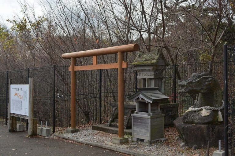 Fukuoka: Kokonoe Sky Bridge & Waterfalls Day Trip - What Travelers Say