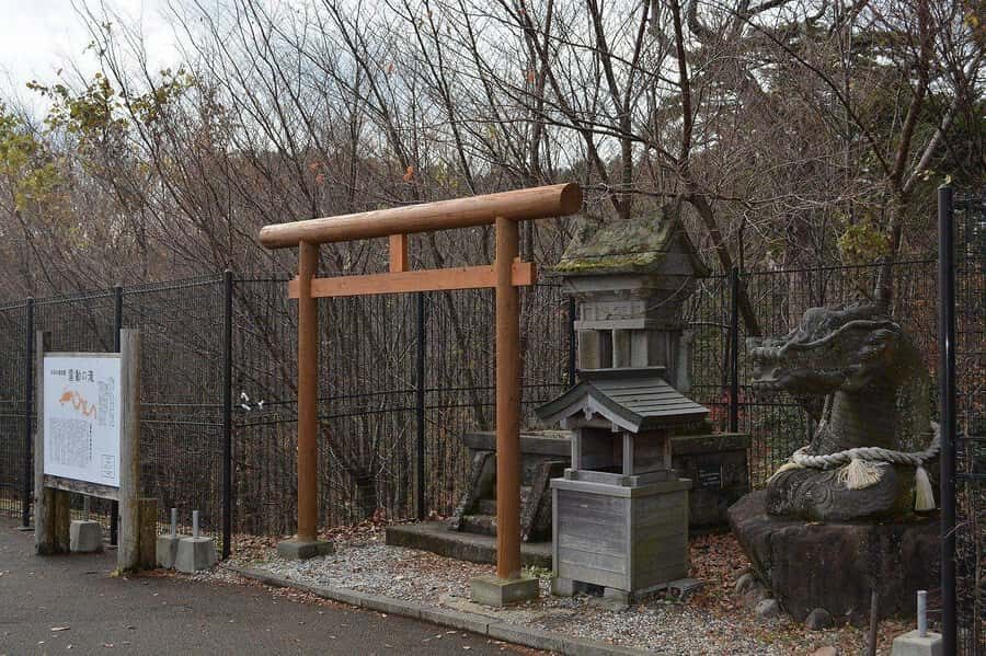 Fukuoka: Kokonoe Sky Bridge & Waterfalls Day Trip - What Travelers Say