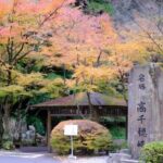 Fukuoka: Mt.Aso, Miyazaki, Takachiho Gorge boat/Beef Lunch Tour - Who Will Love This Tour?