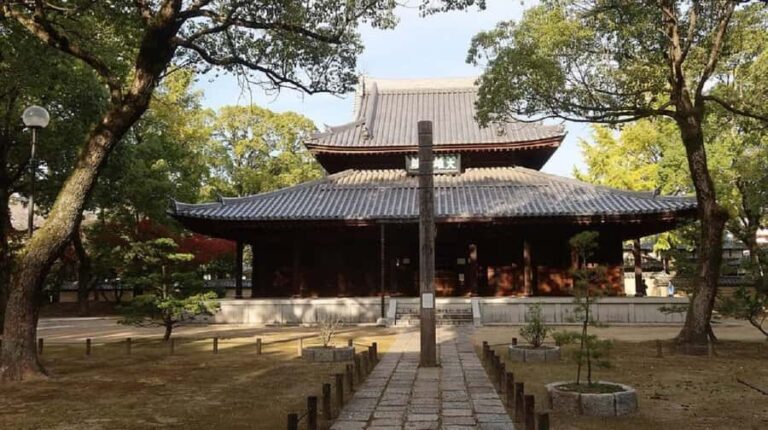 Fukuoka: Nanzoin Temple and Great Buddha Tour - The Highlights of the Tour