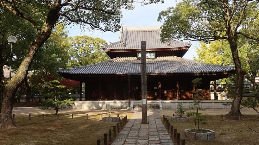 Fukuoka: Nanzoin Temple and Great Buddha Tour - The Highlights of the Tour