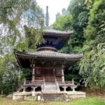 Fukuoka: Nyoirinji Frog Temple & Tea Escape - The Countryside Tea Tasting: An Authentic Japanese Ritual