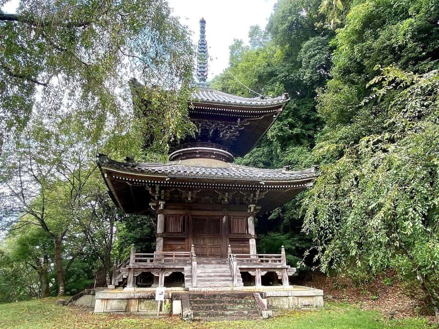 Fukuoka: Nyoirinji Frog Temple & Tea Escape - The Countryside Tea Tasting: An Authentic Japanese Ritual