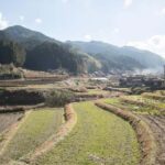 Fukuoka: Private Farm Experience with Lunch - Practical Details & What to Expect