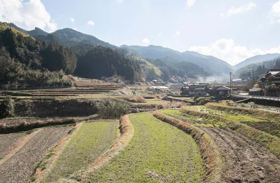 Fukuoka: Private Farm Experience with Lunch - Practical Details & What to Expect