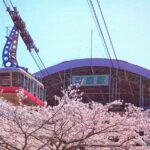 FukuokaDazaifu,Yufuin Village,Beppu Ropeway,Kamado Jigoku - Practical Details and Value