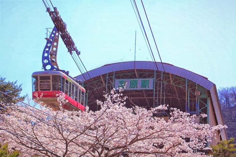 FukuokaDazaifu,Yufuin Village,Beppu Ropeway,Kamado Jigoku - Practical Details and Value