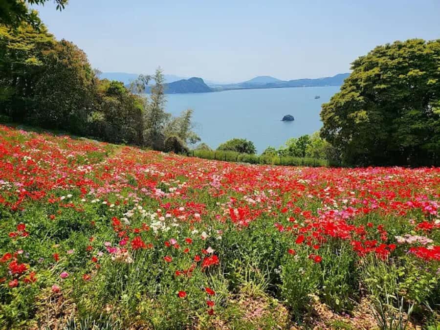 Fukuoka:Nokonoshima Island Day Trip with Tour Guide& Driver - Practical Tips for a Smooth Trip