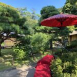 Fukushima: Samurai Ethics and Daily Life in Aizu - From Warfare to Cultural Refinement at Rinkaku