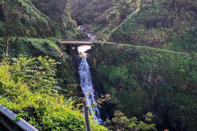 Full-Circle "Reverse" - Luxury Road to Hana Tour from West Maui - Final Thoughts
