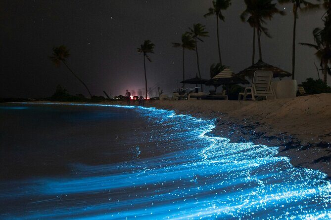 Full Clear Kayak Bioluminescent Experience Vieques, Puerto Rico