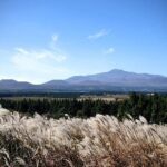 Full Day 12 hours whole Jeju Island private flexible tour - The Itinerary Breakdown