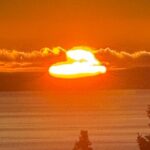 Full Day Anchorage Tour with Alaskan Guide - Authenticity and Comfort