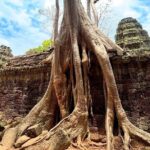 Full Day Angkor Temples Tour with Sunset - The Guide and Cultural Insights