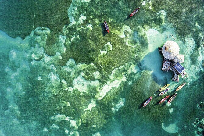 Full-Day Appleton Rum, YS Falls and Pelican Bar Private Tour - Authentic Experiences and Value