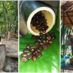 Full-Day ATV Khaolak Adventure with local Support - Who Will Love This Tour?