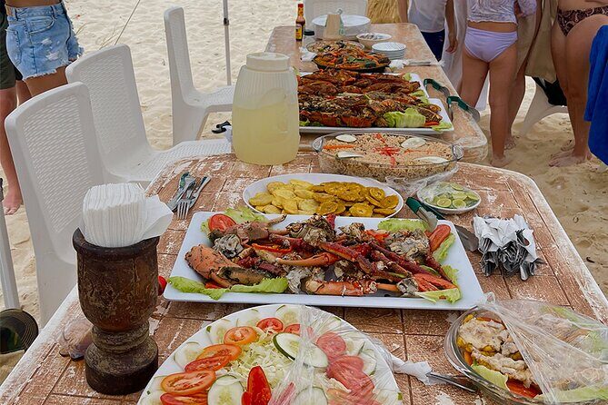 Full Day Bahía de las Águilas and Private Flight from Santo Domingo - Practical Considerations