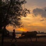 Full-Day Banteay Srei & 4 Temples - Grand Tours Join-in Tour - Final Thoughts