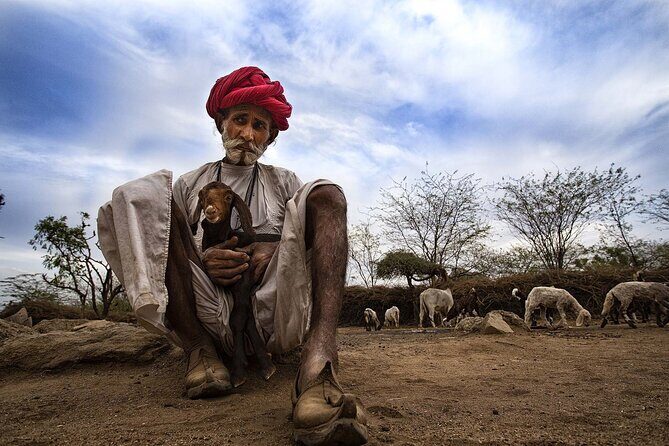 Full-Day Bishnoi Village Safari - Exploring the Details of the Tour