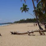 Full-Day Blue Lagoon Tour in Dominican Republic - What’s Included and What’s Not