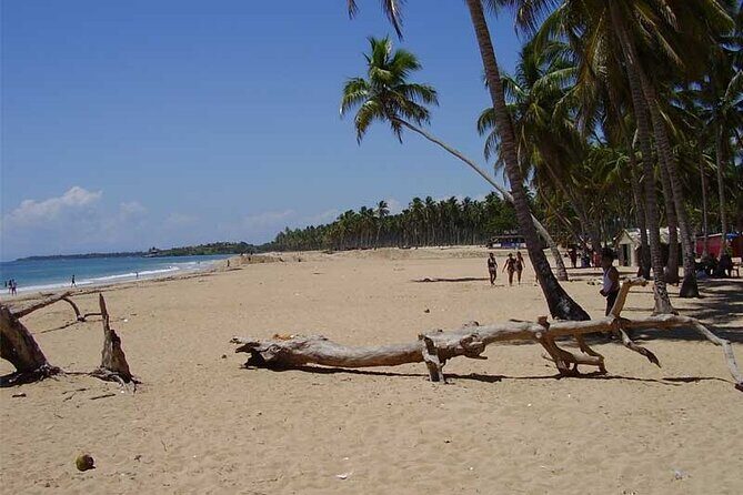 Full-Day Blue Lagoon Tour in Dominican Republic - What’s Included and What’s Not