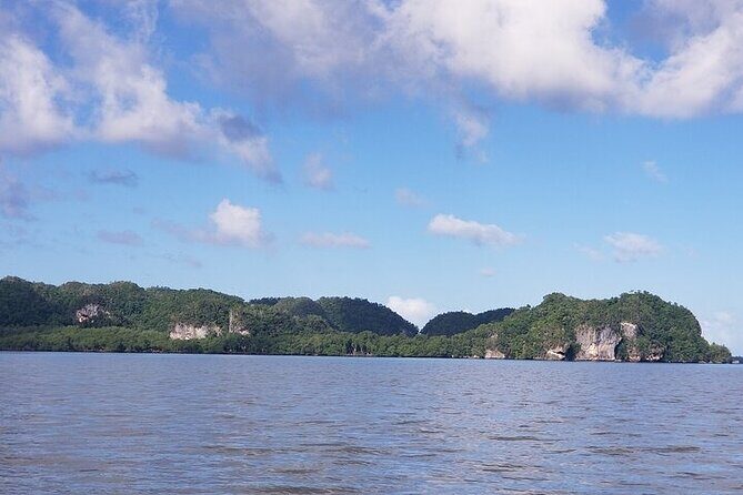 Full-Day Boat Tour of Los Haitises National Park - The Practical Side: Logistics, Group Size, and Price