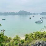 Full day boat trip to Lan Ha bay Ha Long bay and Monkey island - The Sum Up