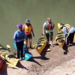 Full-Day Buffalo Bayou Kayaking Tour - Who Will Enjoy This Tour?