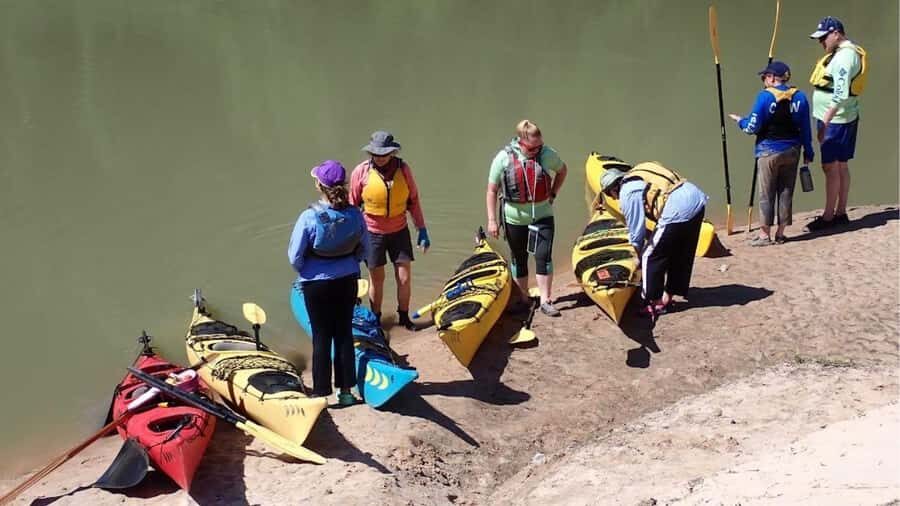 Full-Day Buffalo Bayou Kayaking Tour - Who Will Enjoy This Tour?