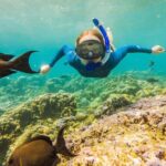 Full Day Cancun ATV Zipline and Cenote Adventure with Snorkeling - What to Expect: A Detailed Breakdown of the Itinerary