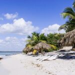 Full Day Catalina Island and Cap Cana Snorkel Tour - Practical Tips for Travelers