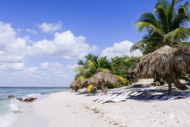 Full Day Catalina Island and Cap Cana Snorkel Tour - Practical Tips for Travelers