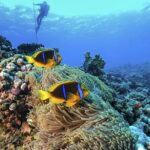Full-Day Catalina Island Scuba Diving Tour from La Romana - Final Thoughts