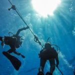 Full-Day Catalina Island Scuba Diving Tour from Punta Cana - The Practical Aspects