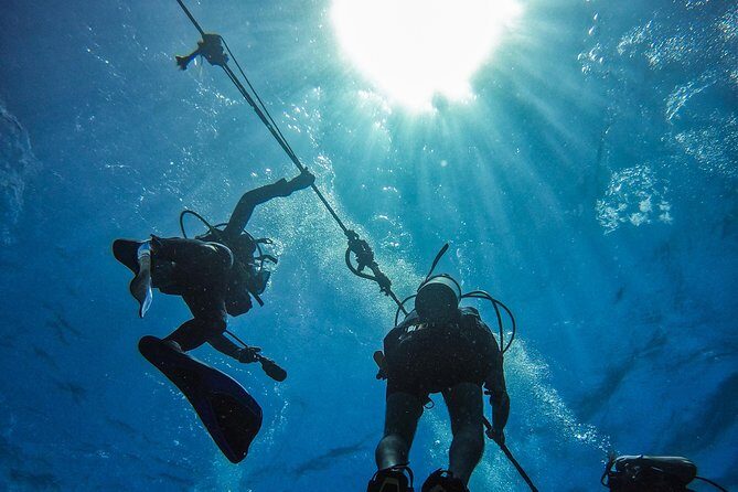 Full-Day Catalina Island Scuba Diving Tour from Punta Cana - The Practical Aspects