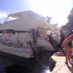 Full Day Catalina Island Snorkeling Adventure & Altos de Chavon - The Sum Up