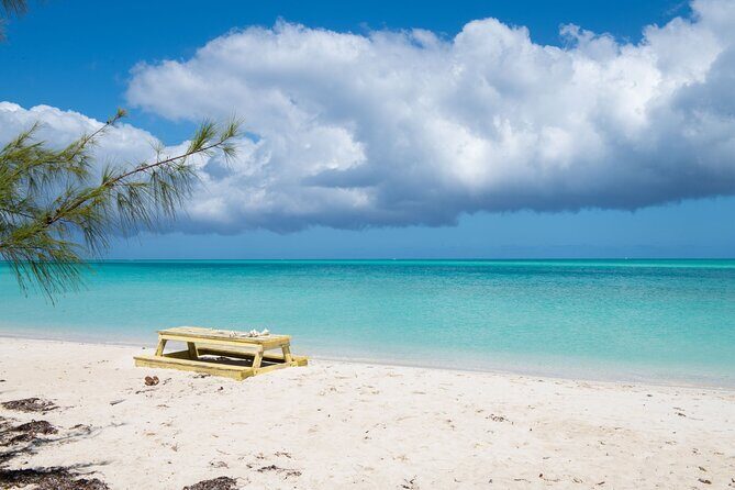 Full Day Cruise from Providenciales with Snorkeling and BBQ Lunch - Why This Tour Offers Great Value