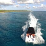 Full-Day Cruise to Saona Island - Natural pool and lunch - FAQs