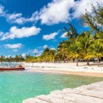 Full-Day Cruise to Saona Island - Natural pool and lunch - Who Is This Tour Best For?