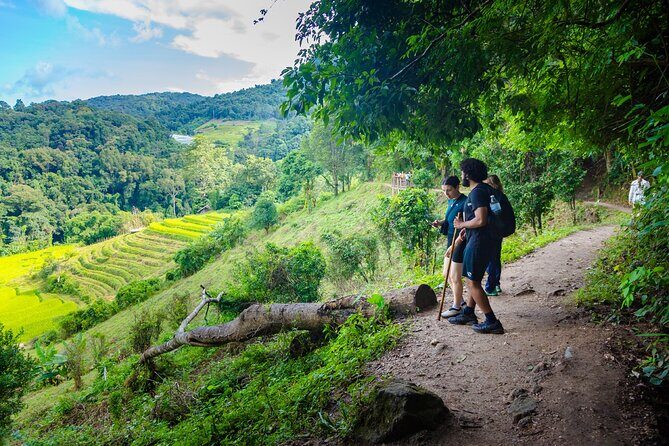 Full Day Doi Inthanon and Pha Dok Siew Trek from Chiang Mai - Exploring the Itinerary in Detail