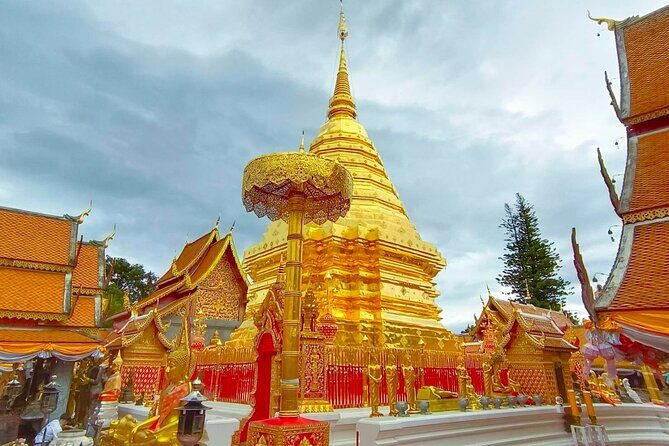 Full-Day Doi Suthep, Wat Pha Lad & Sticky Waterfall Guided Tour - A Floral Interlude: Orchid and Butterfly Farm