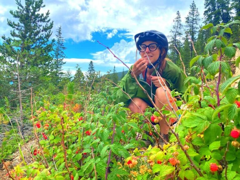 Full Day E-Bike Tour In The Colorado Rockies With Transport - A Detailed Breakdown of the Itinerary