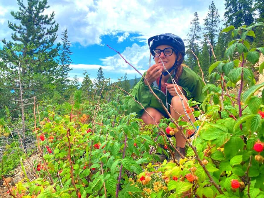 Full Day E-Bike Tour In The Colorado Rockies With Transport - A Detailed Breakdown of the Itinerary