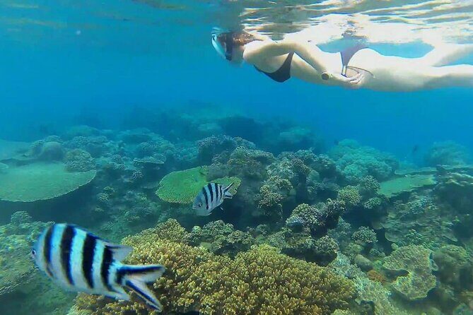 Full Day East Bali Tour - The Sum Up