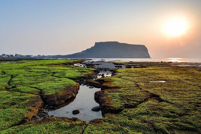 Full Day Essential Jeju Island Private tour for West Course - Discovering Jeju’s West Coast: An In-Depth Look