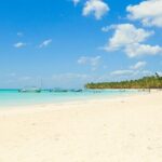 Full Day Excursion to Isla Saona from Santo Domingo - Practical Details and Considerations