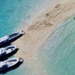 Full Day Exuma Swimming Pigs - Group Boat Tour From Nassau - What the Reviews Tell Us